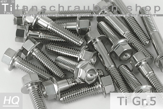 Titanium Bolts | Hexagon Flange | Silver | Gr. 5 | M12 | ~DIN 691