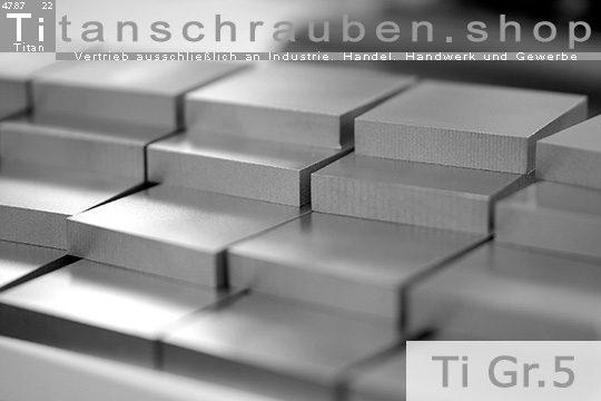 Titanplatte | Ti 6Al 4V Grade 5