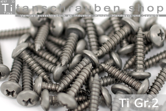 Titanium Screws | Pan Head | Silver | Gr.2 | ST4.8 | DIN 7981
