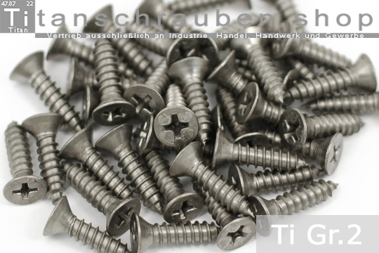 Titanium Screws | Countersunk | Silver | Gr.2 | ST4.8 | DIN 7982