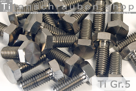 Titanschrauben | Außensechskant | Silber | Gr. 5 | M12 | DIN 933