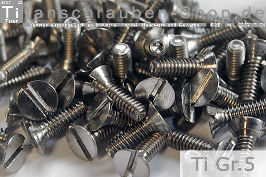 Titanschrauben | Senkkopf | Silber | M2 | DIN 963